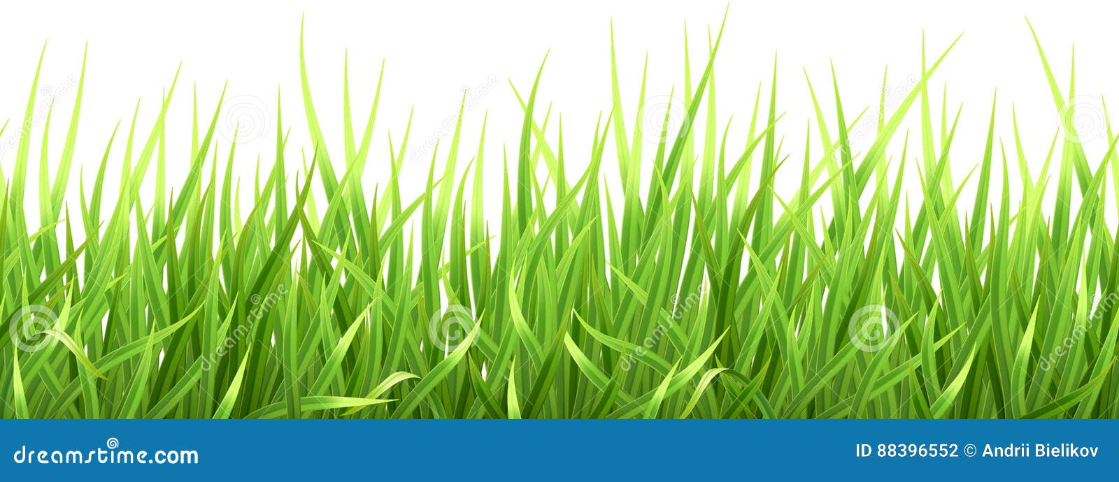 Hierba Realista Estupenda Del Vector Ilustración del Vector ...