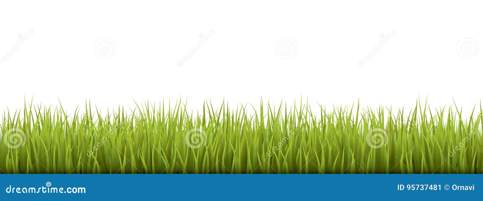 Hierba Verde Realista Fresca - Ejemplo Del Vector Ilustración del ...