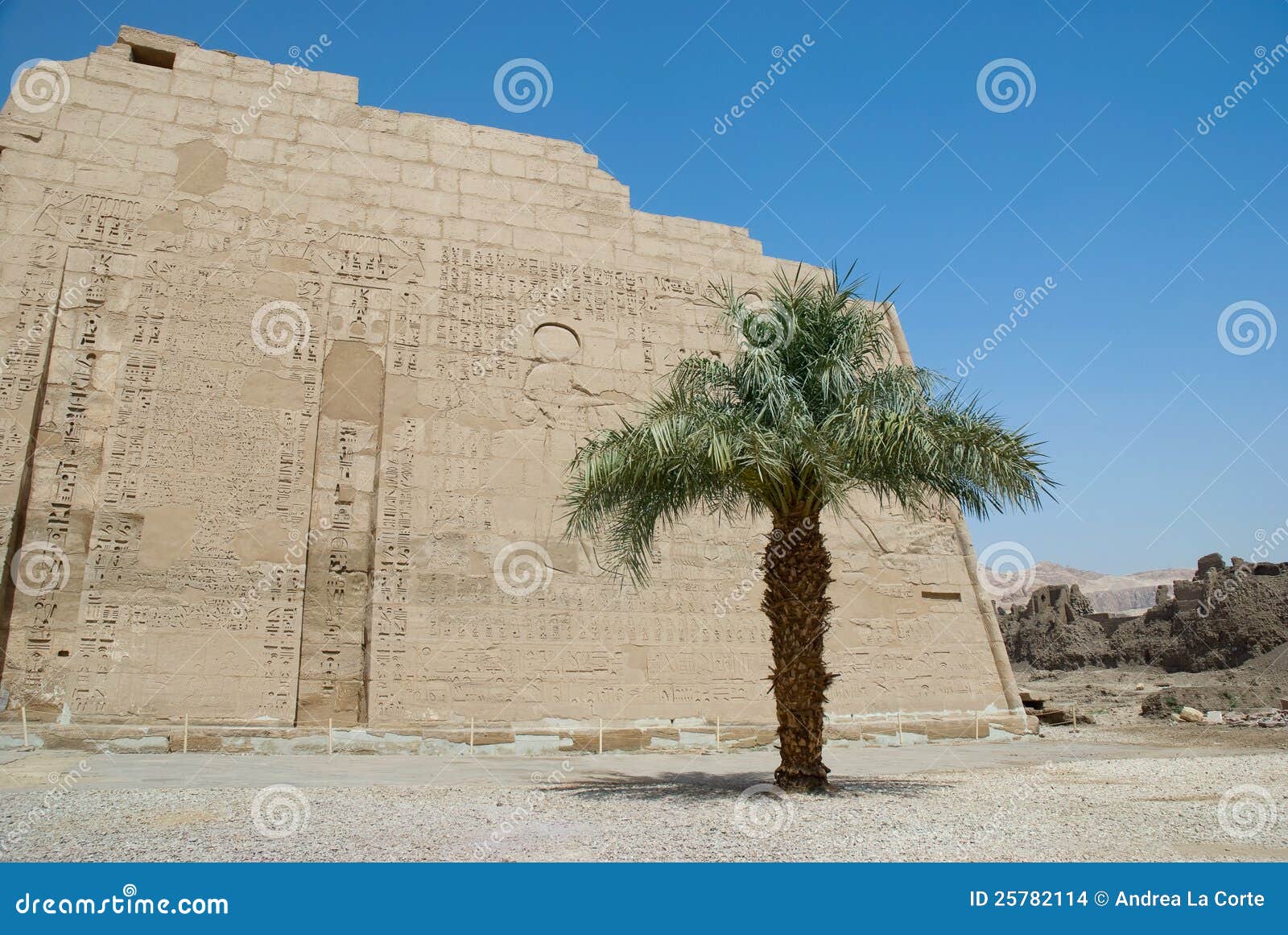 Hieroglyphic Carvings on an Egyptian Temple Wall Stock Photo - Image of ...