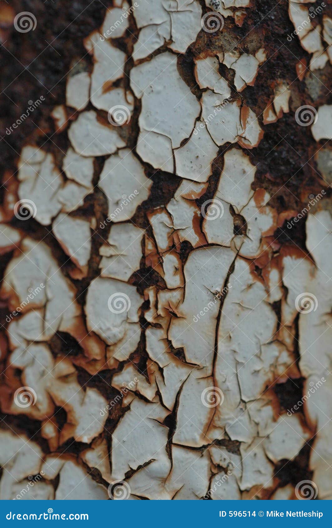 Hierro oxidado foto de archivo. Imagen de hierro, metal - 596514