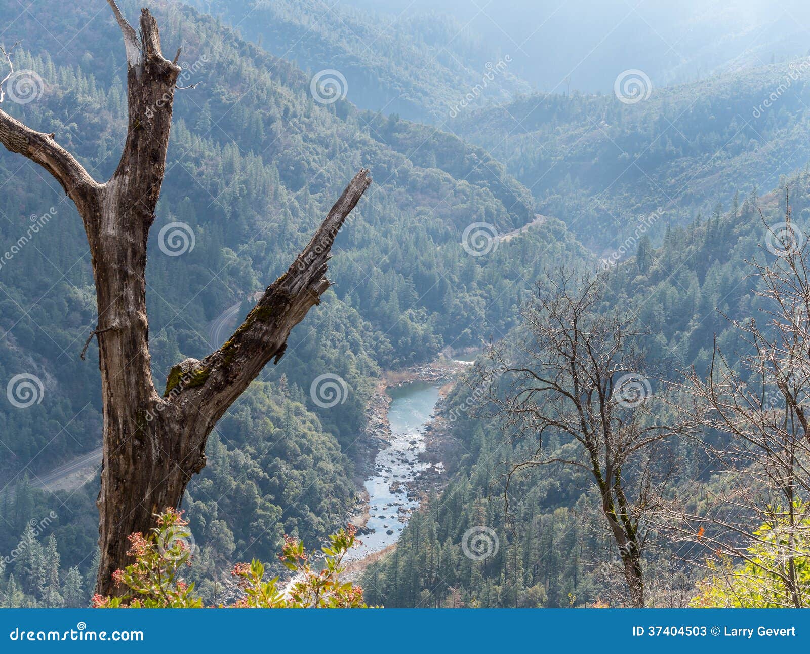 High Above the Feather River Canyon Stock Image - Image of river, green ...