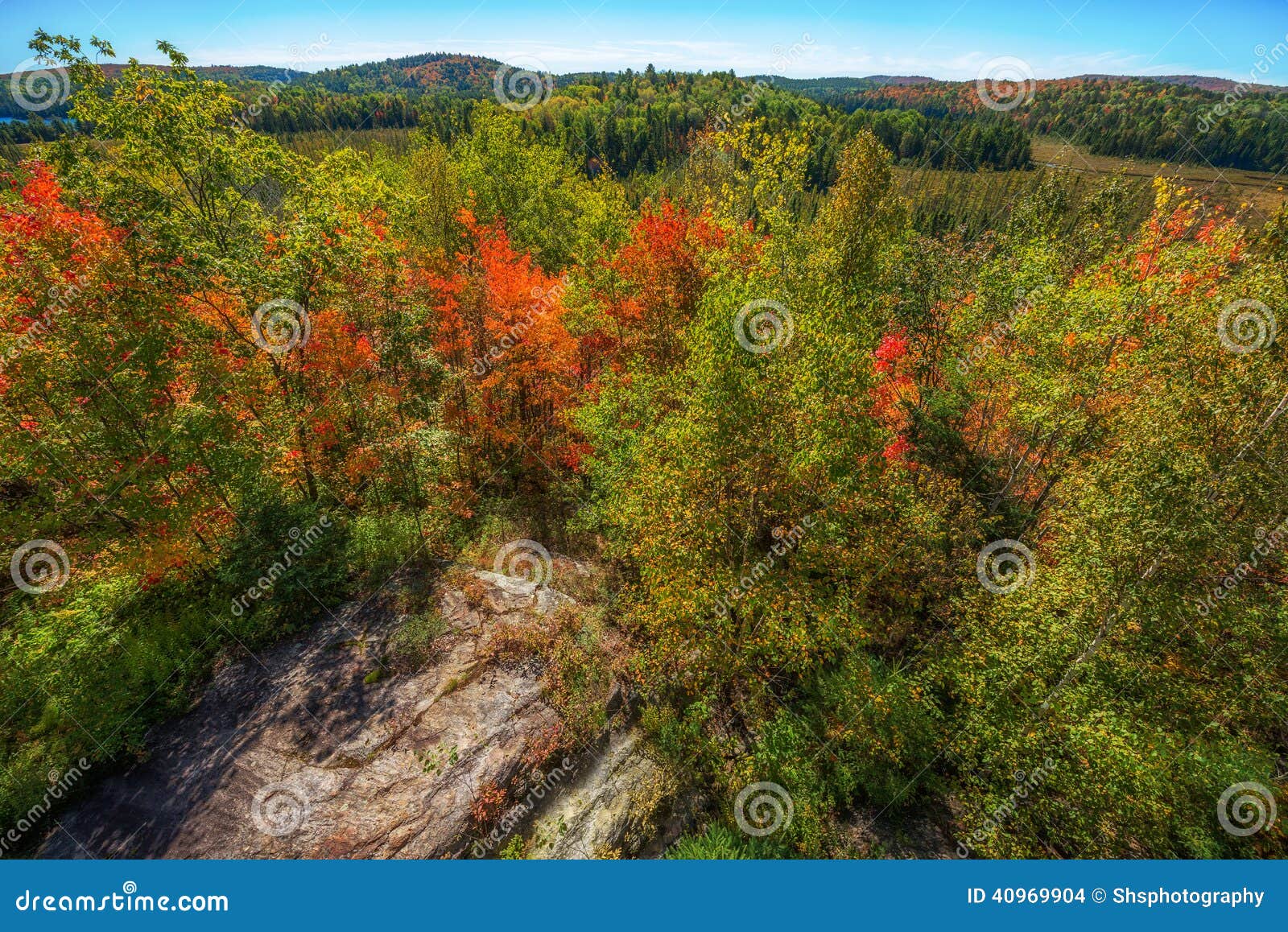 High Above the Trees in Autumn - Wide Angle Stock Photo - Image of ...