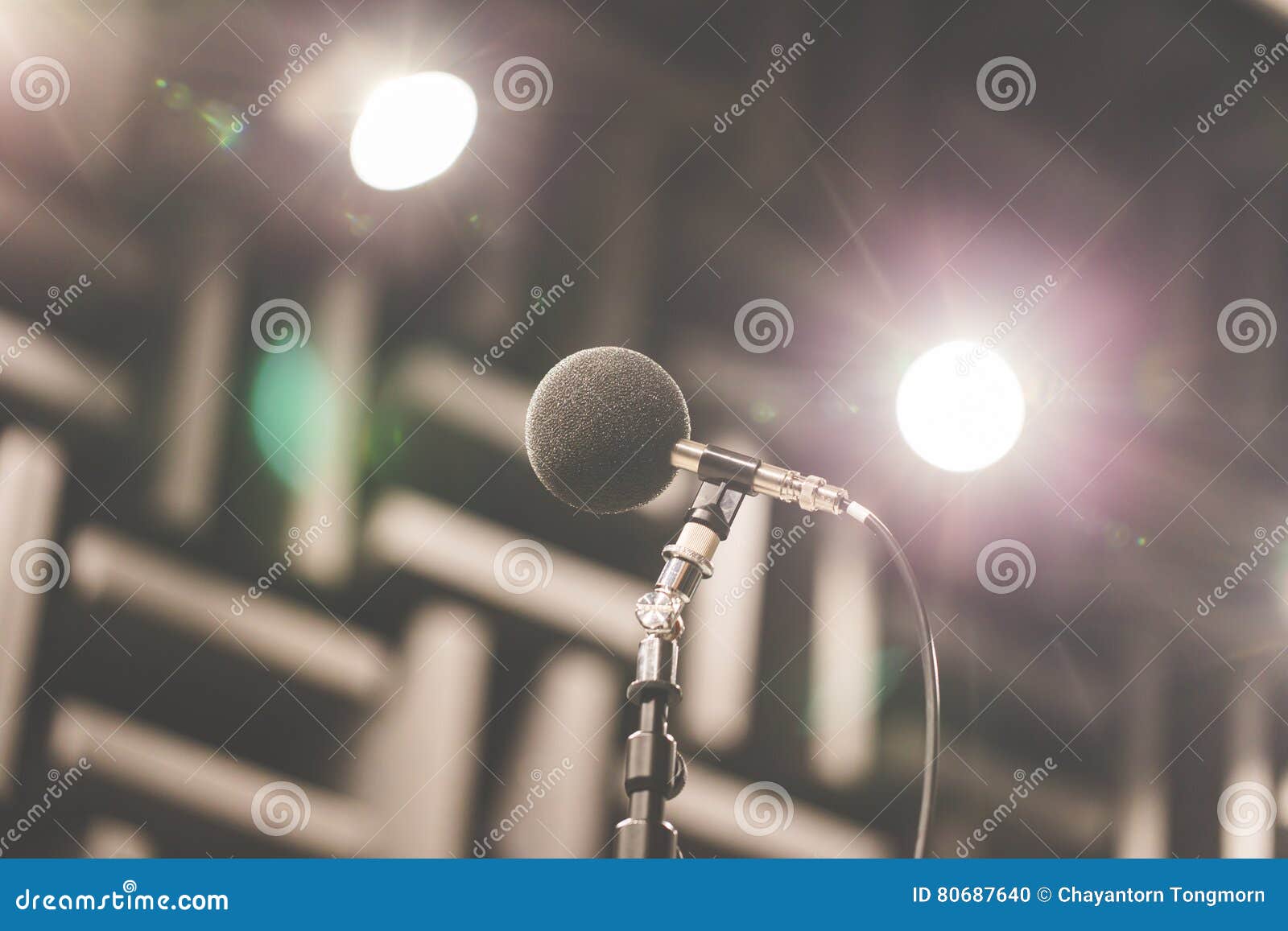 High Accuracy Microphone in Noise Sound Testing Room with LED Light ...