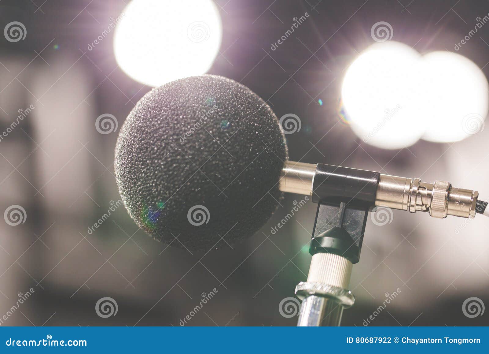 High Accuracy Microphone in Noise Sound Testing Room with LED Light ...