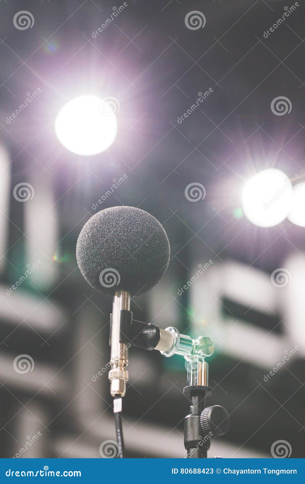 High Accuracy Microphone in Noise Sound Testing Room with LED Light ...