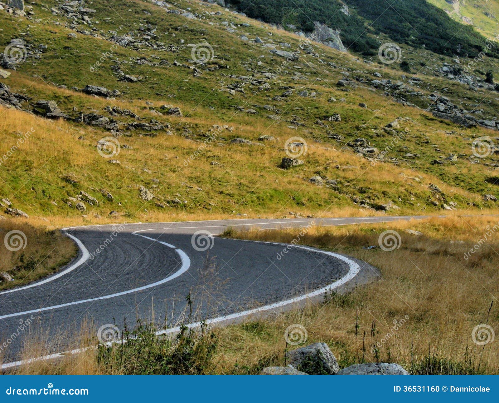 Close Up High Alpine Winding Road View Stock Photo - Image of ...