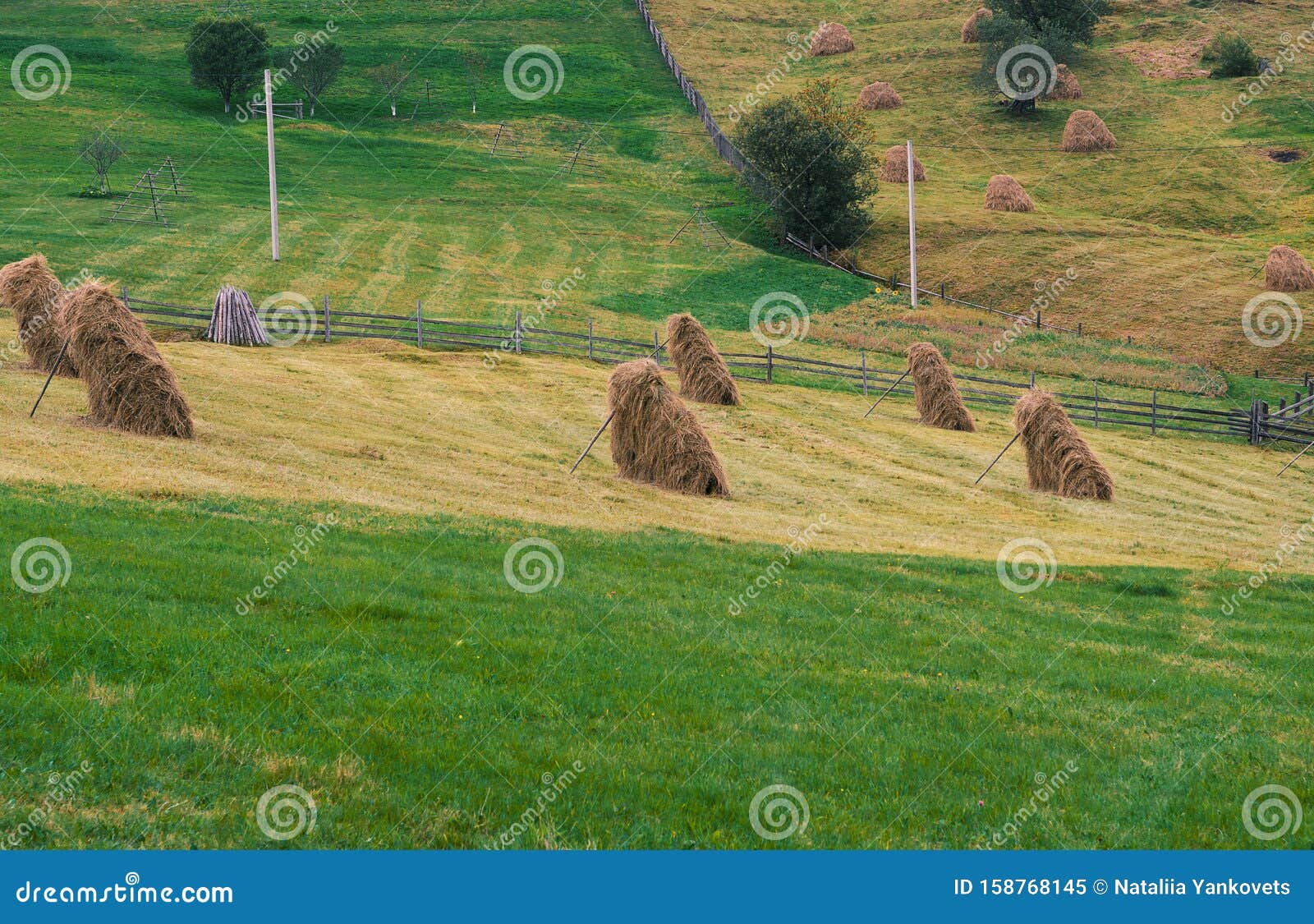 High-altitude Fields with Typical Open Air Hayfields Stock Image ...
