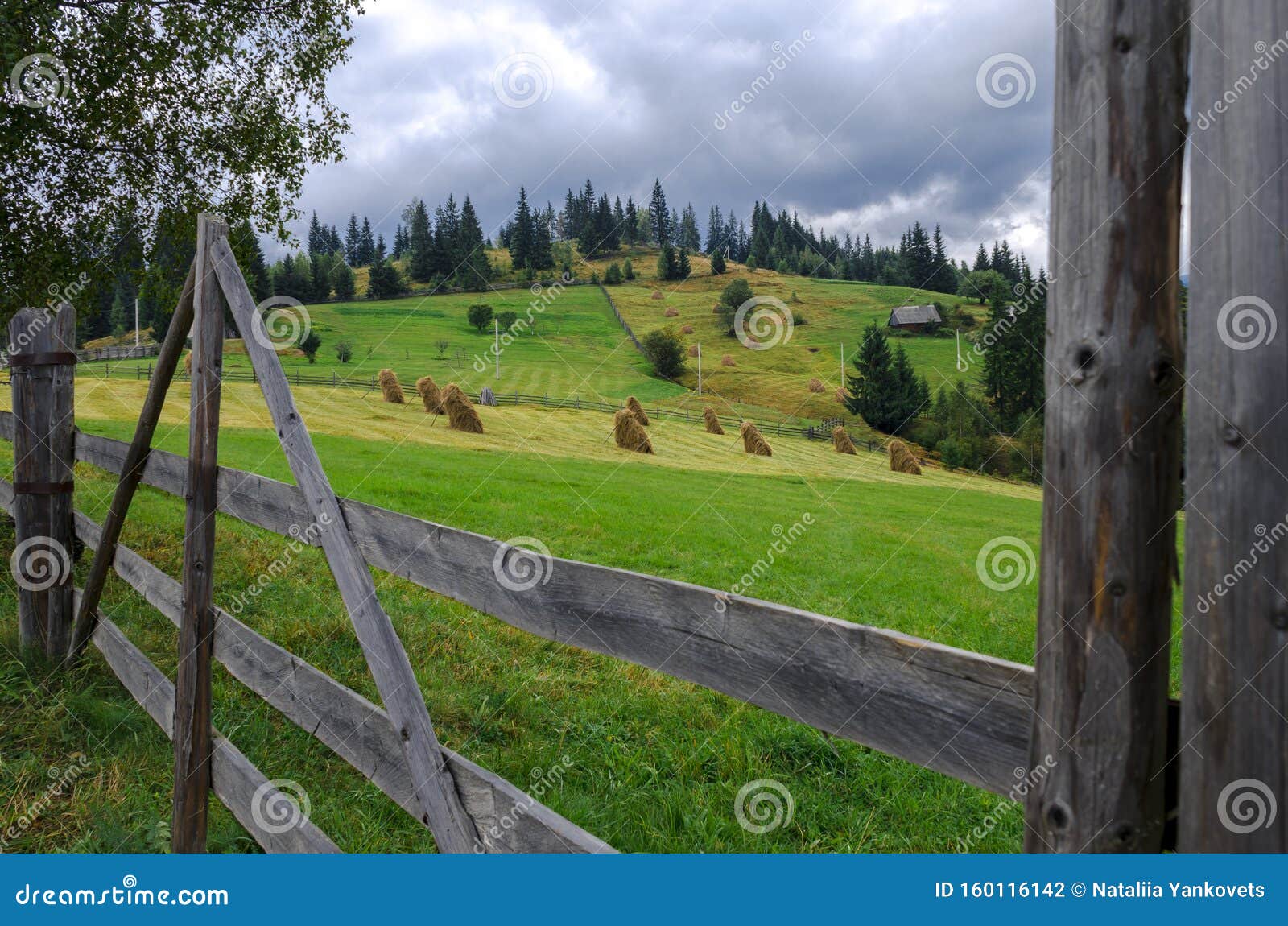 High-altitude Fields with Typical Open Air Hayfields Stock Photo ...