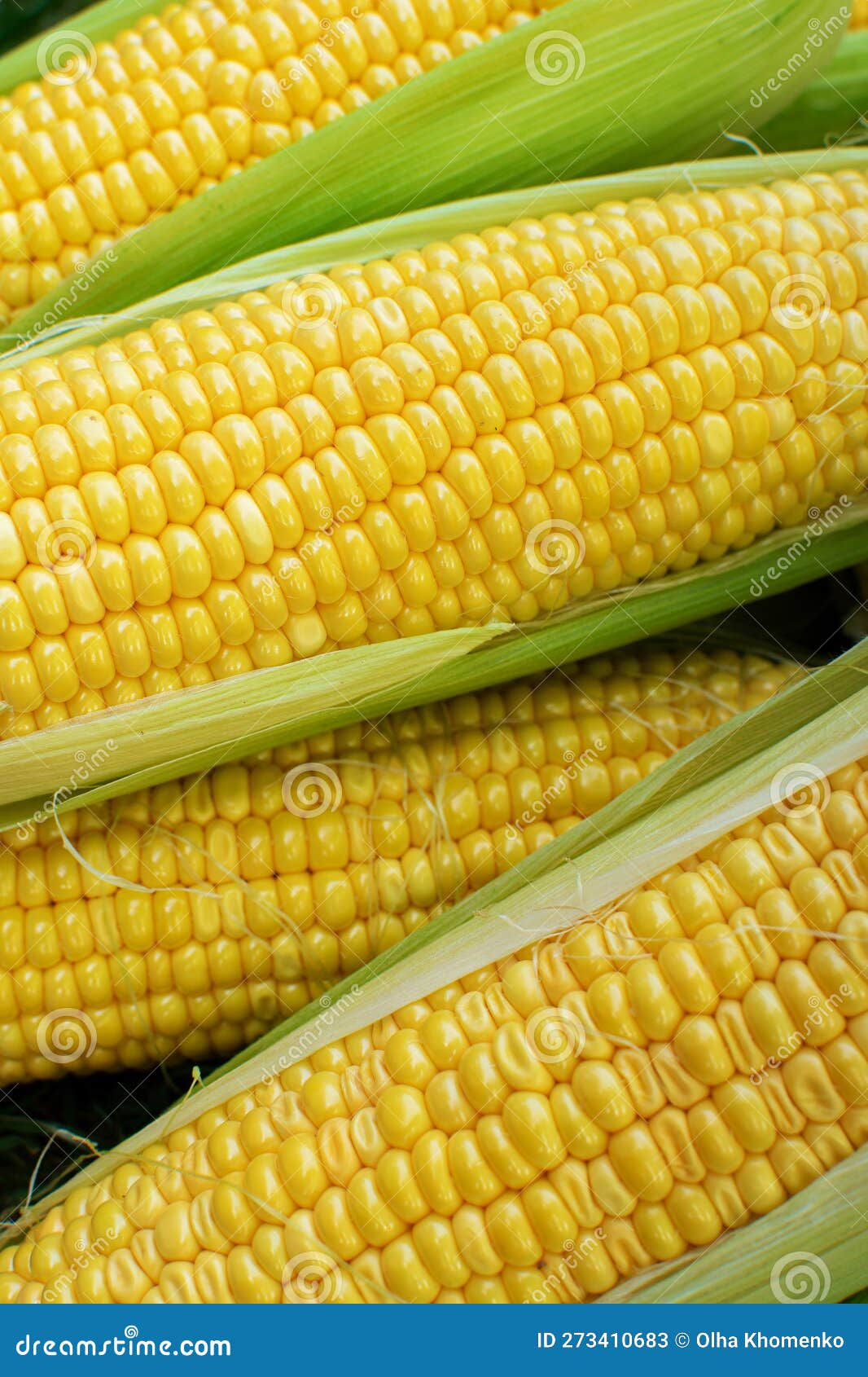 High Angel Shot Of Mexican Torta Roast Beef On The Table Stock Photo ...