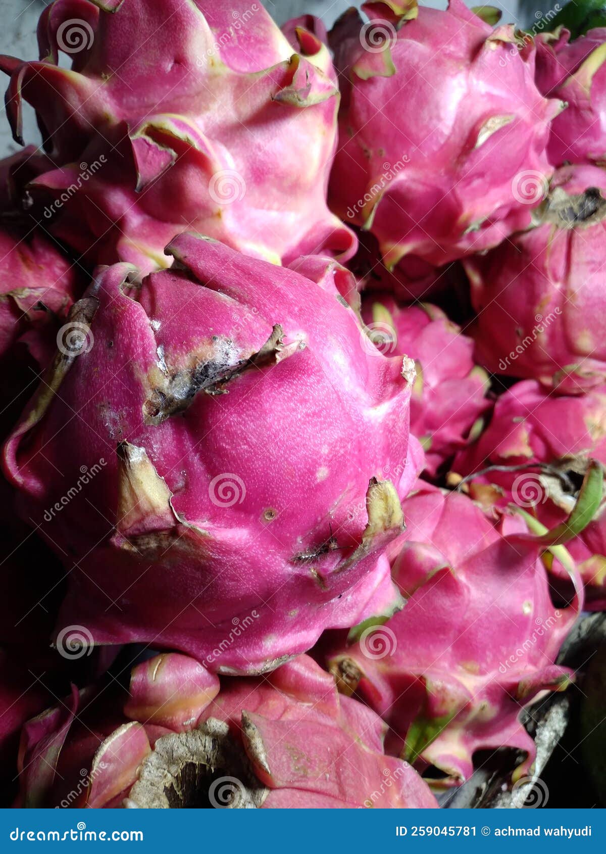 High Angle Close Up of Dragon Fruit Stock Image - Image of group, close ...