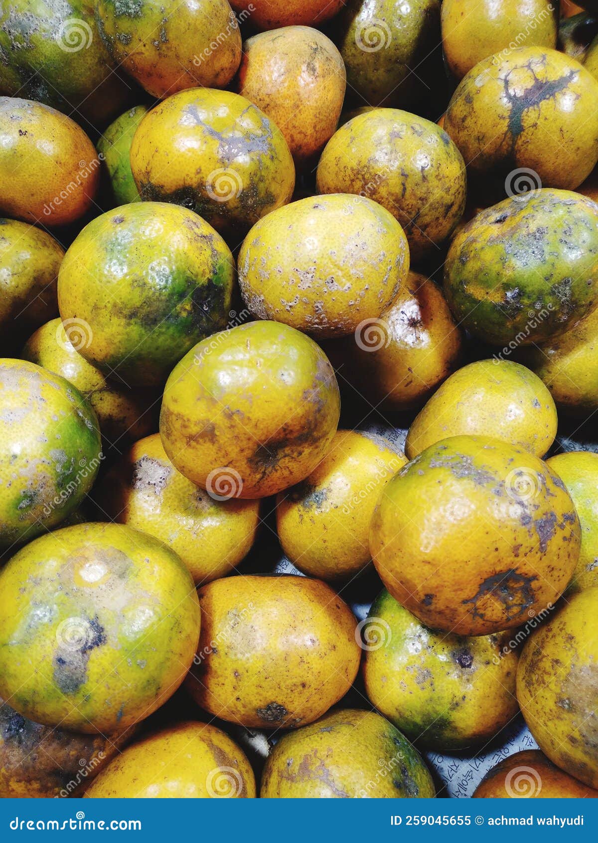 High Angle Close Up of Local Oranges Stock Image - Image of close ...