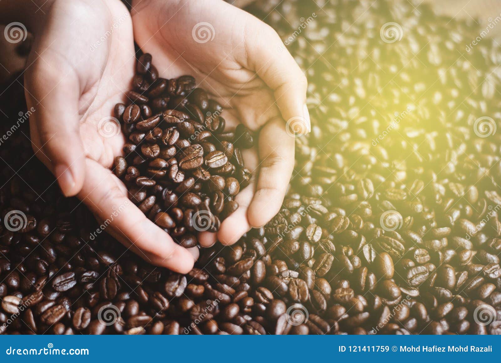 High Angle Close Up of Man Holding Coffee Beans in Cupped Hands Stock ... High Angle Close Up of Man Holding Coffee Beans in Cupped Hands Stock ...