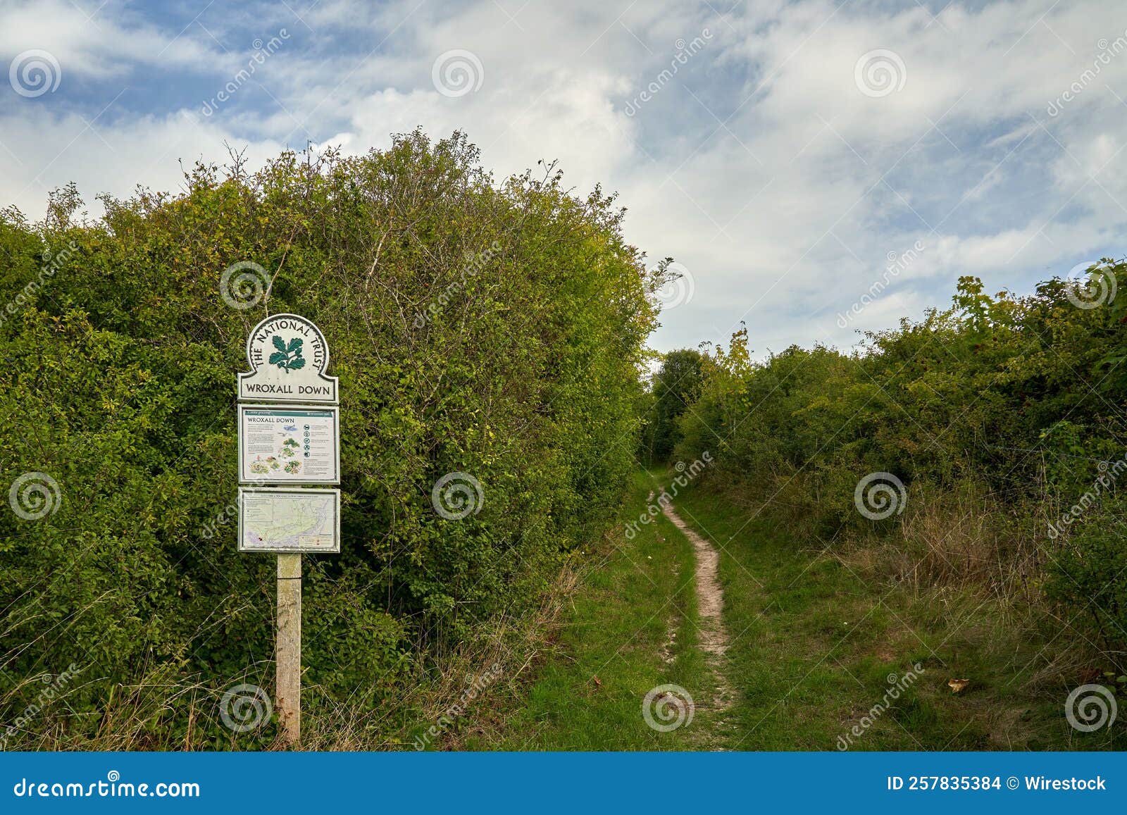 High Angle of a Footpath with Grass and Trees Up To Wroxall Down on the ...