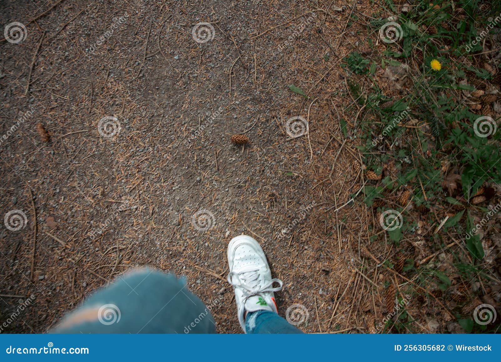 High Angle Point of View Shot of Feet on a Pathway Stock Photo - Image ...