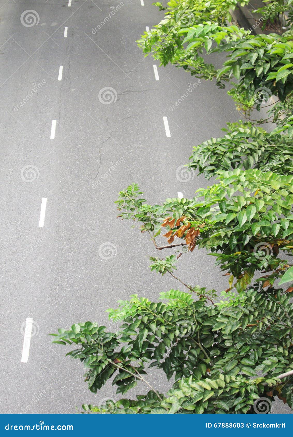 High angle of the road stock image. Image of road, point - 67888603