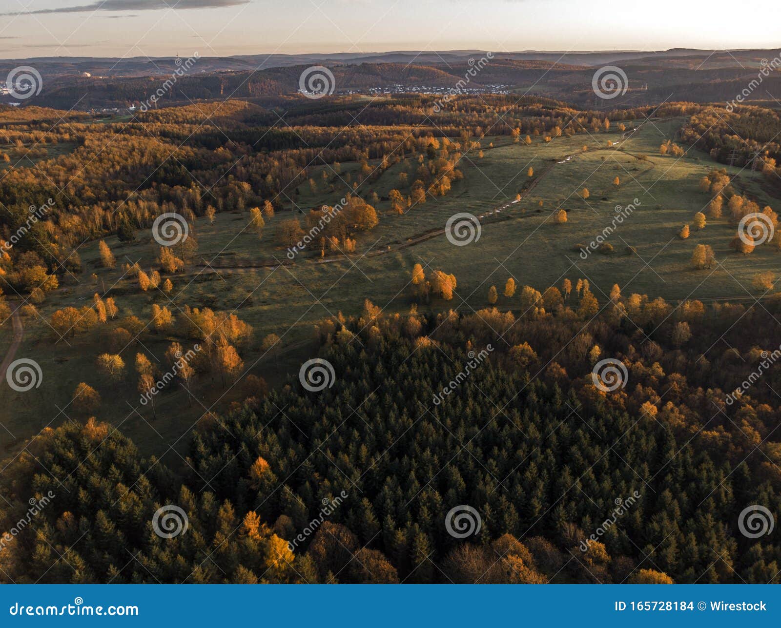 High Angle Shot of the Beautiful Trees on a Fields Captured at Day Time ...