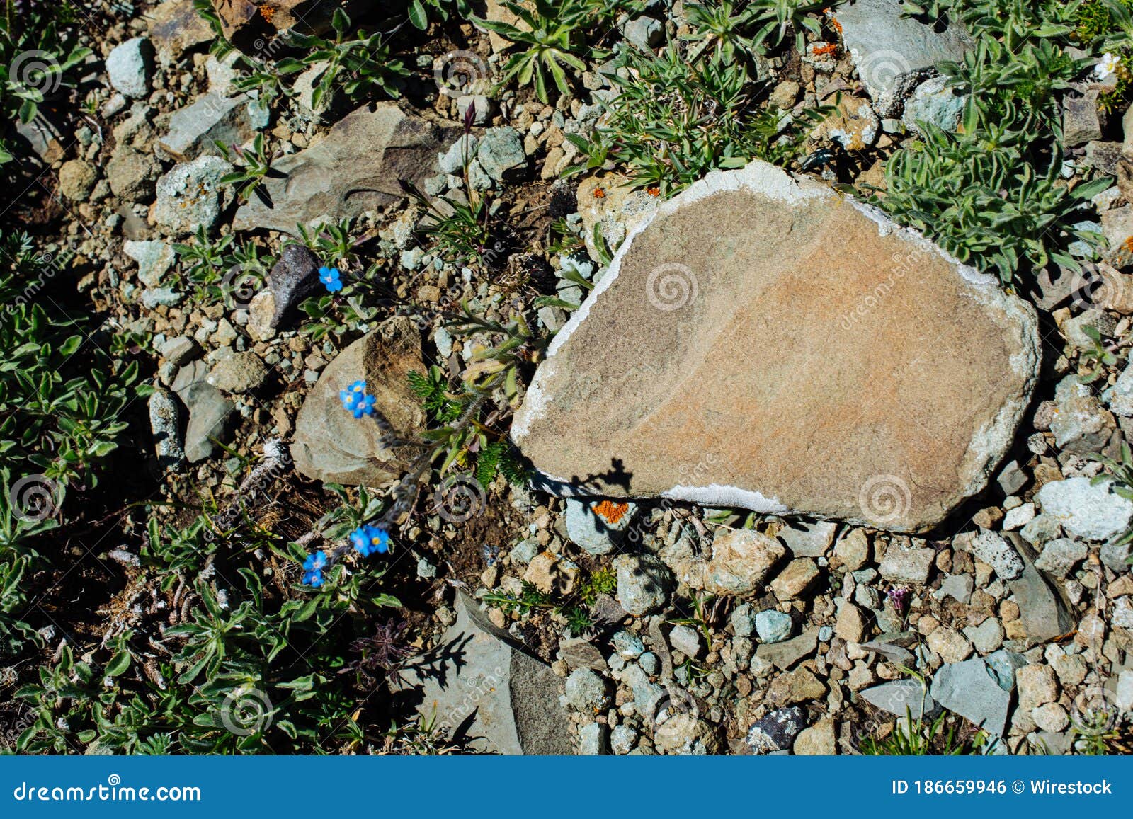 High Angle Shot of a Big Rusty Rock on the Ground Surrounded by ...
