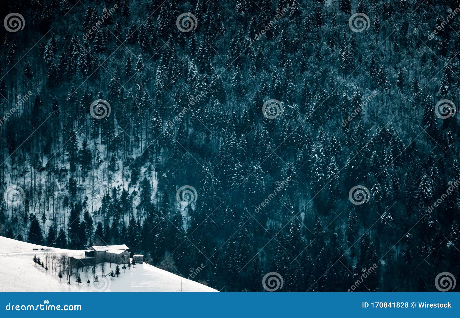 High Angle Shot of a Cabin on a Mountain Edge with an Alpine Forest ...