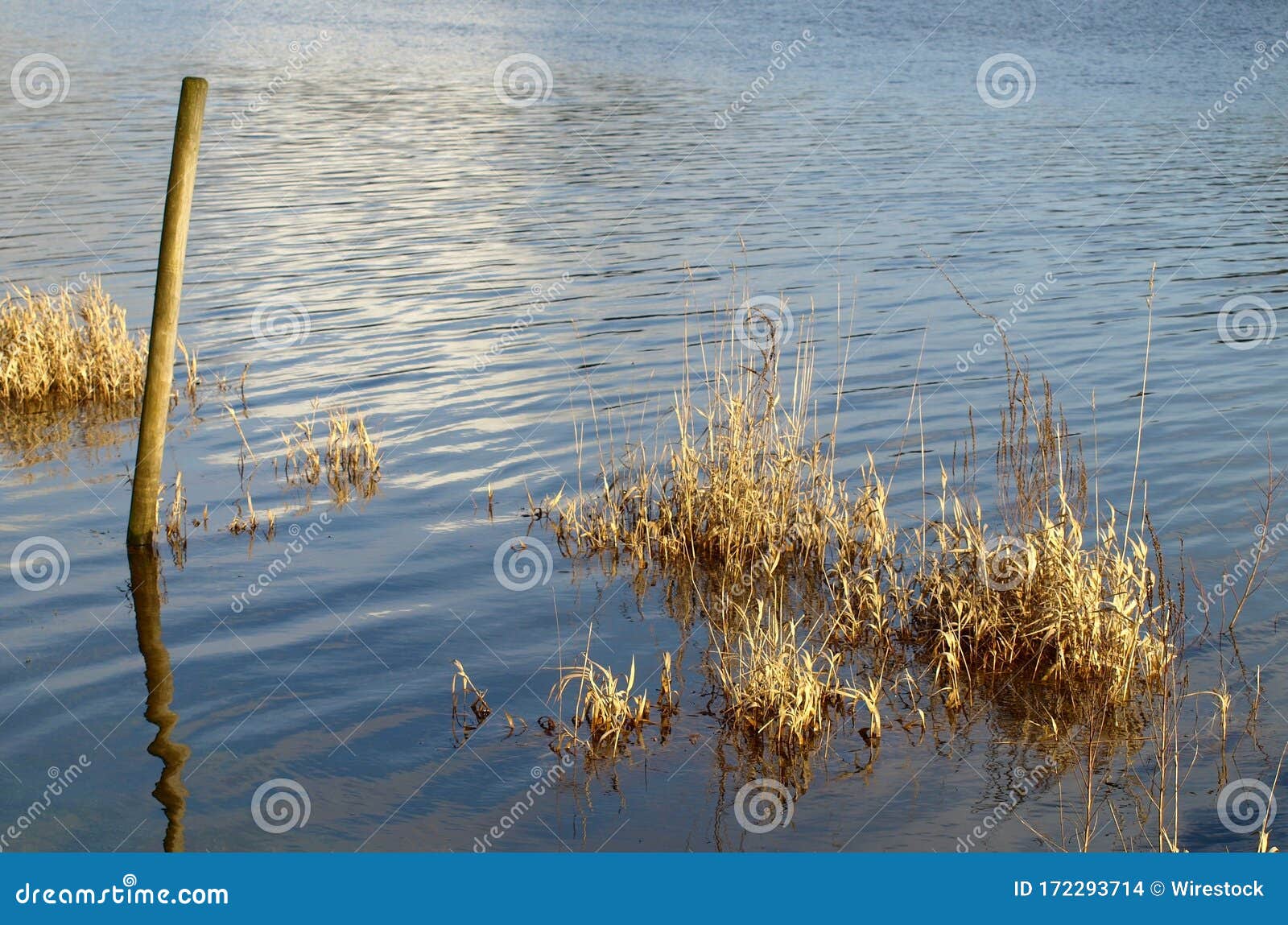 High Angle Shot of Clear Water in the Lake Stock Photo - Image of calm ...