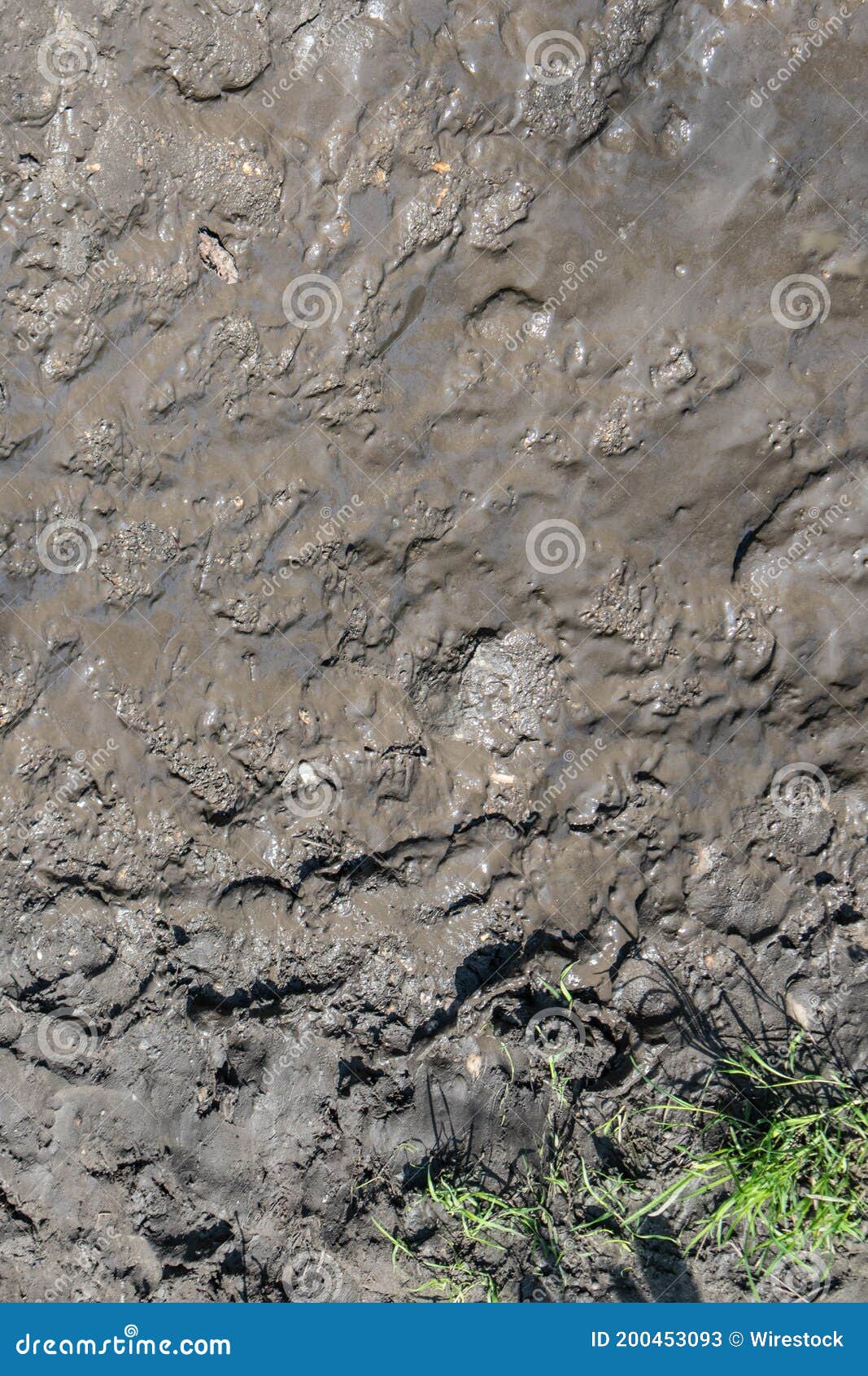 High Angle Shot of a Dirty Ground Under the Sunlight Stock Image ...