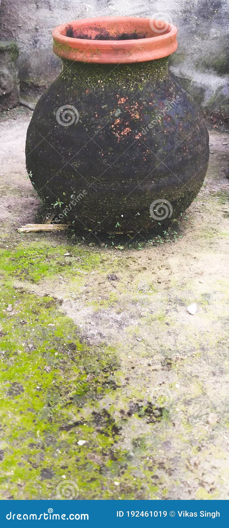 High Angle Shot of an Earthen Pot, Having Green Algae Grown on it ...