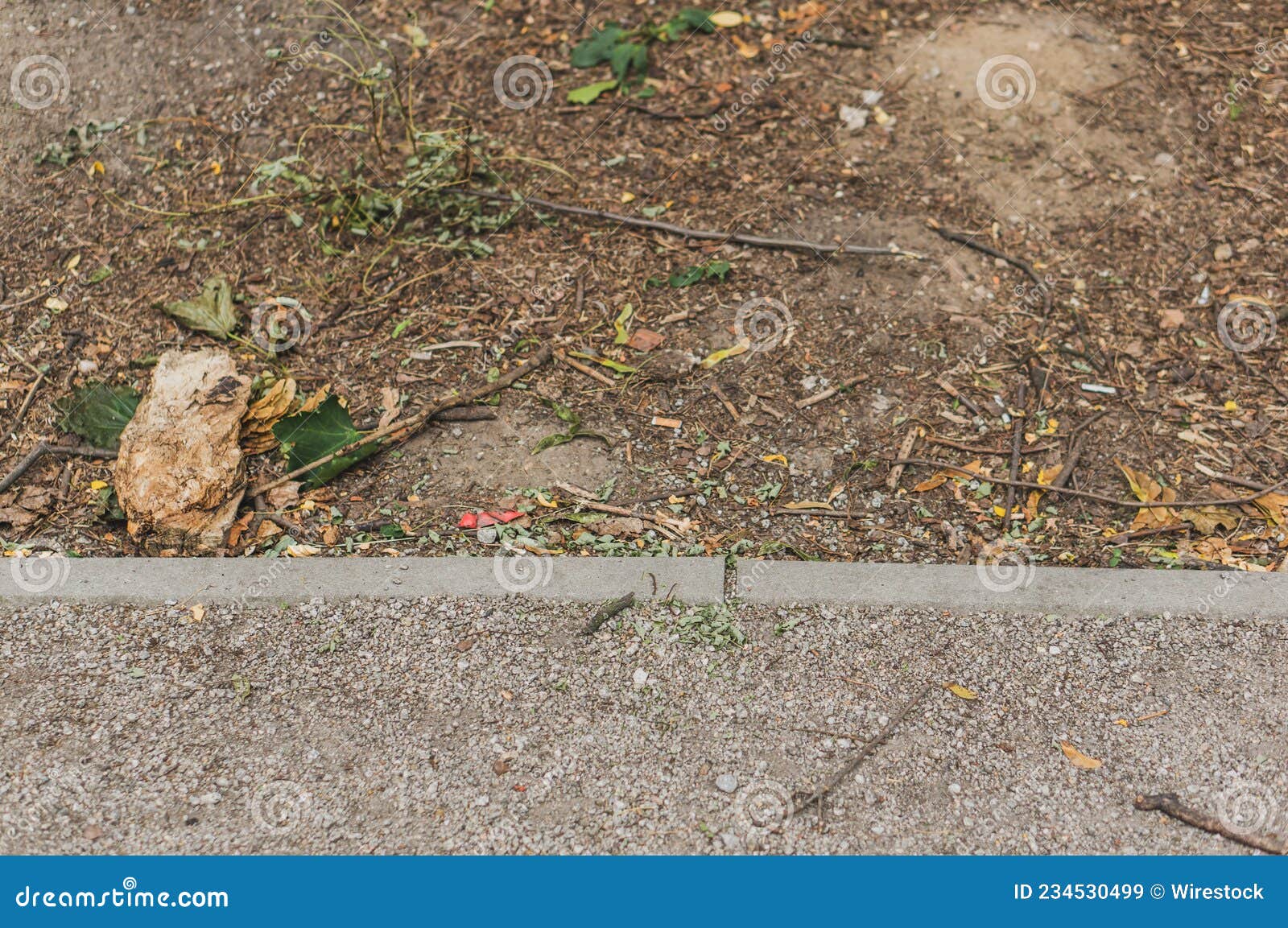 High Angle Shot of a Footpath Edge Stock Image - Image of leaf, natural ...