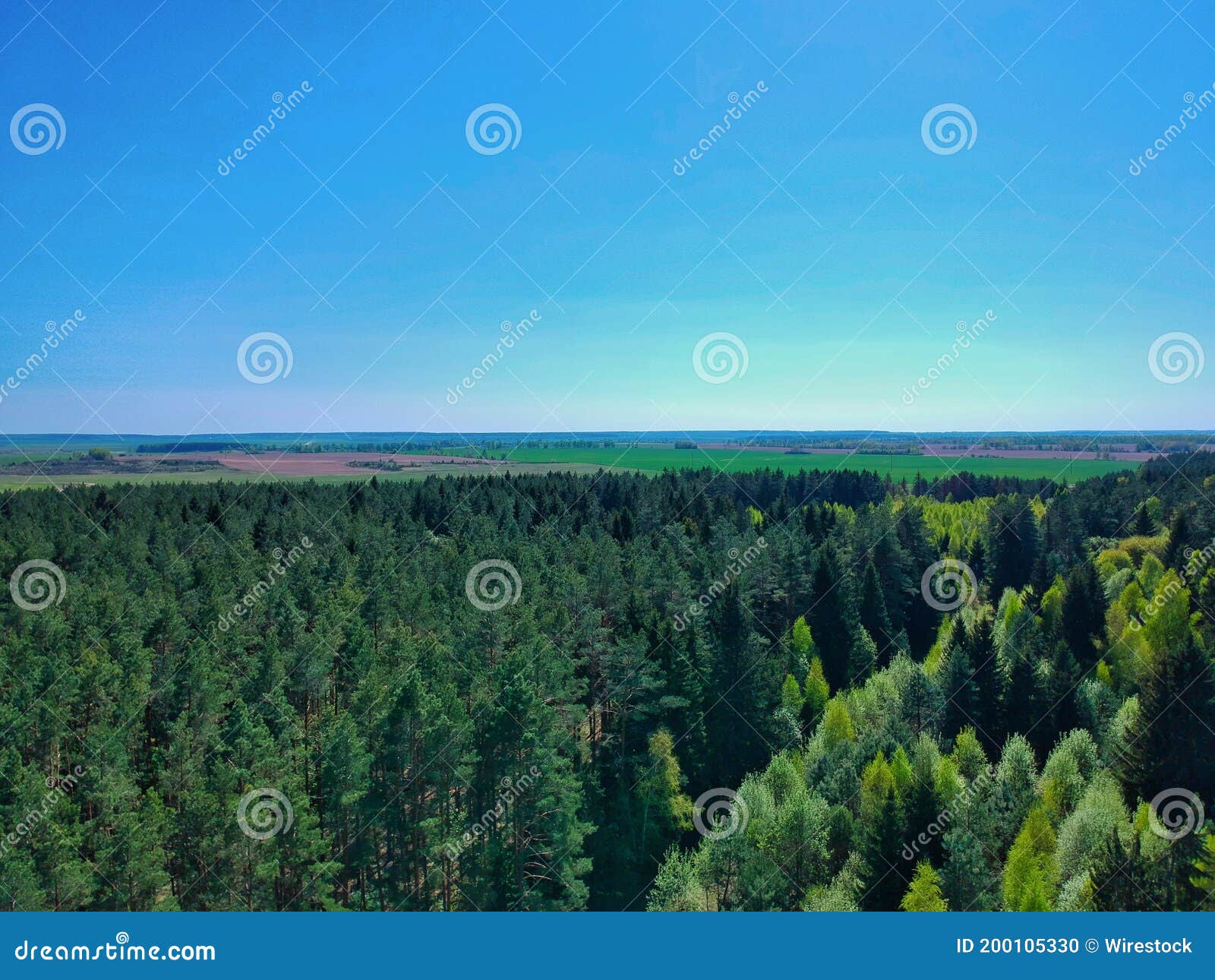 High Angle Shot of a Forest Stock Photo - Image of natural, meadow ...