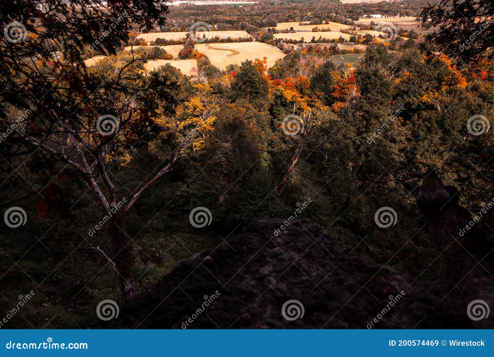 High Angle Shot of a Forest Stock Image - Image of landscape, nature ...