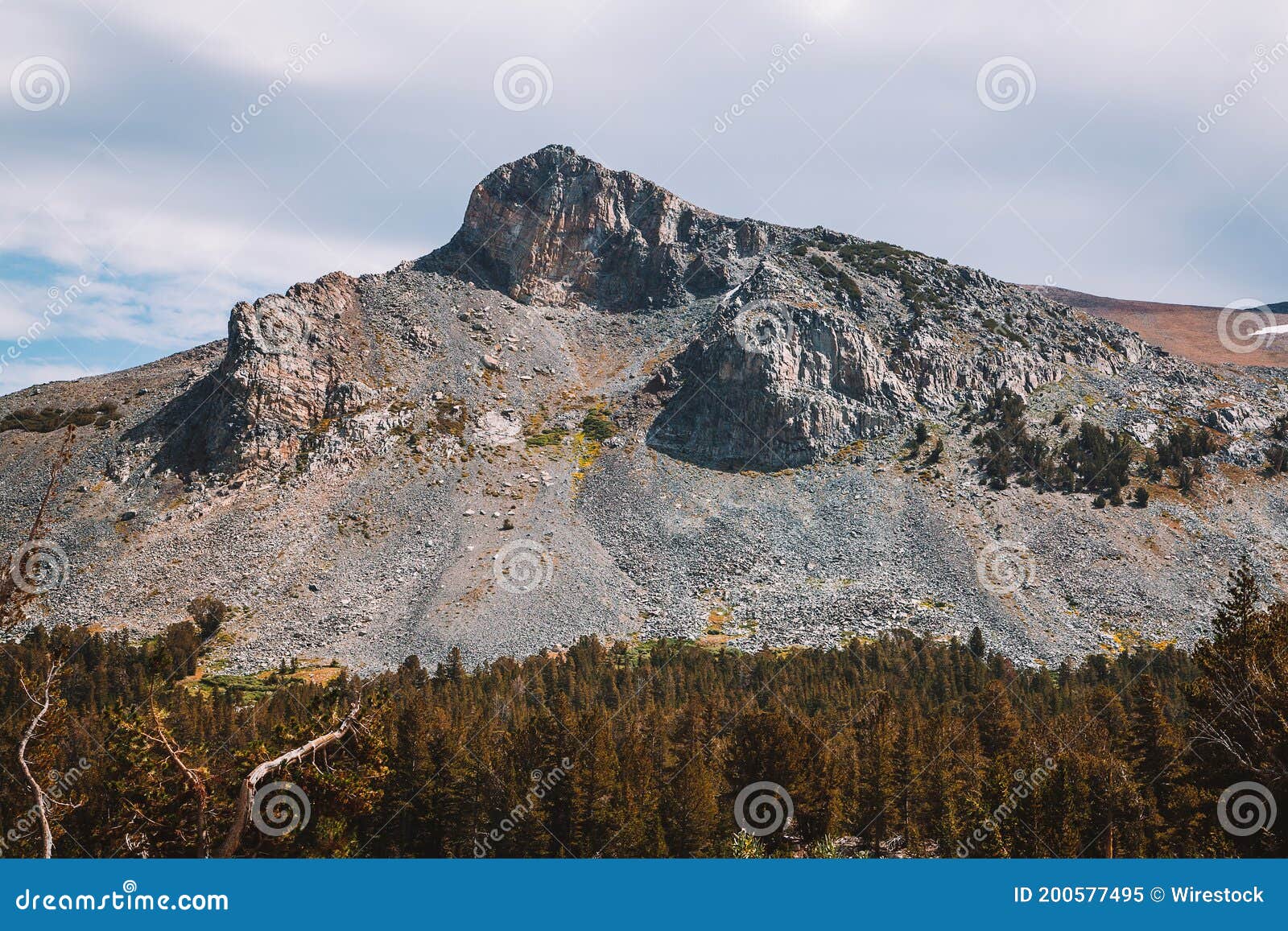 High Angle Shot of Forest and a Hill Stock Image - Image of landscape ...