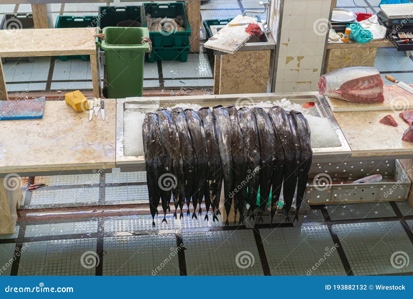 High Angle Shot of the Fresh Black Scabbardfish on the Counter of a ...