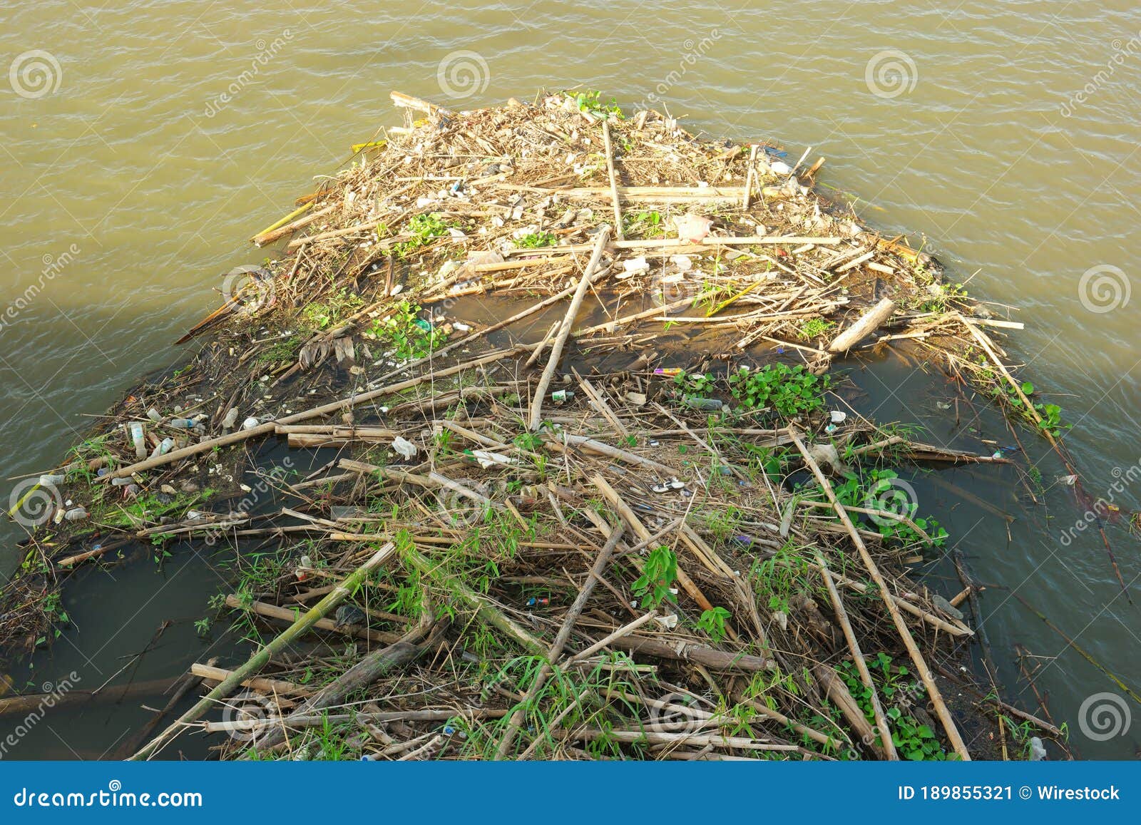 River Pollution Near The Shore, Garbage Near The River, Plastic Food ...