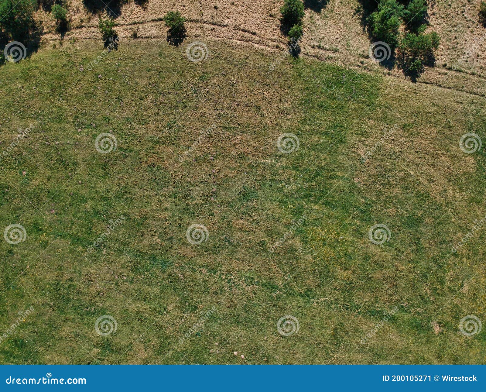 High Angle Shot of Grassland and Trees Stock Image - Image of nature ...