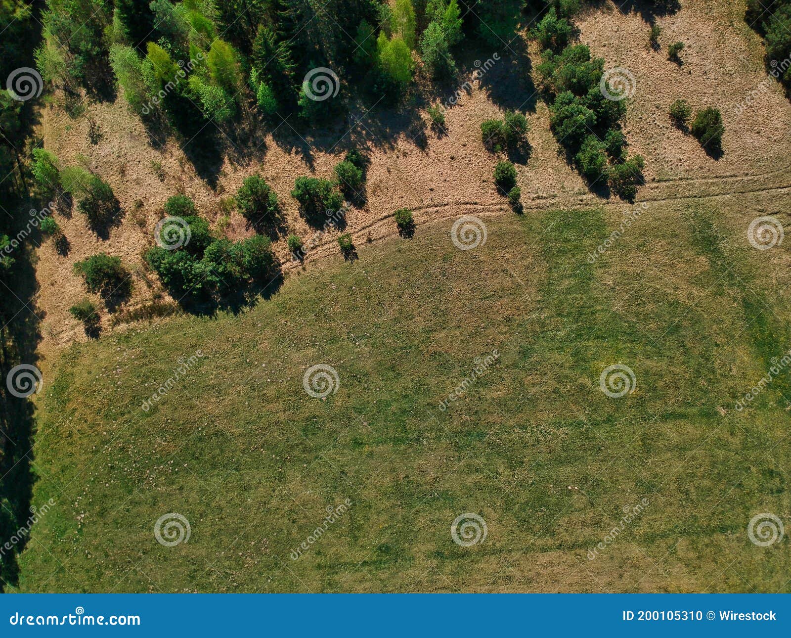 High Angle Shot of Grassland and Trees Stock Photo - Image of rural ...