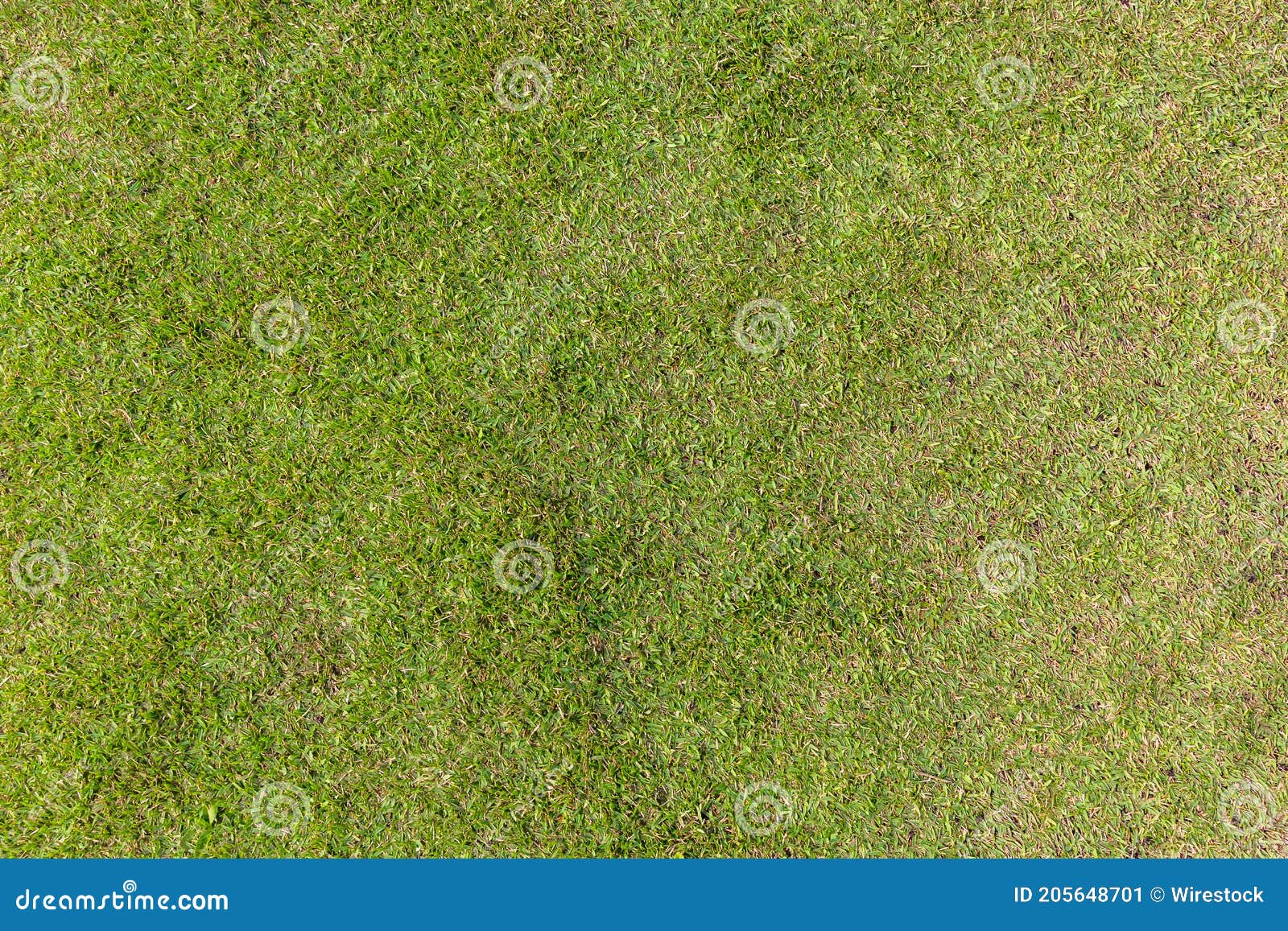 High Angle Shot of a Green Lawn Surface Stock Image - Image of ...