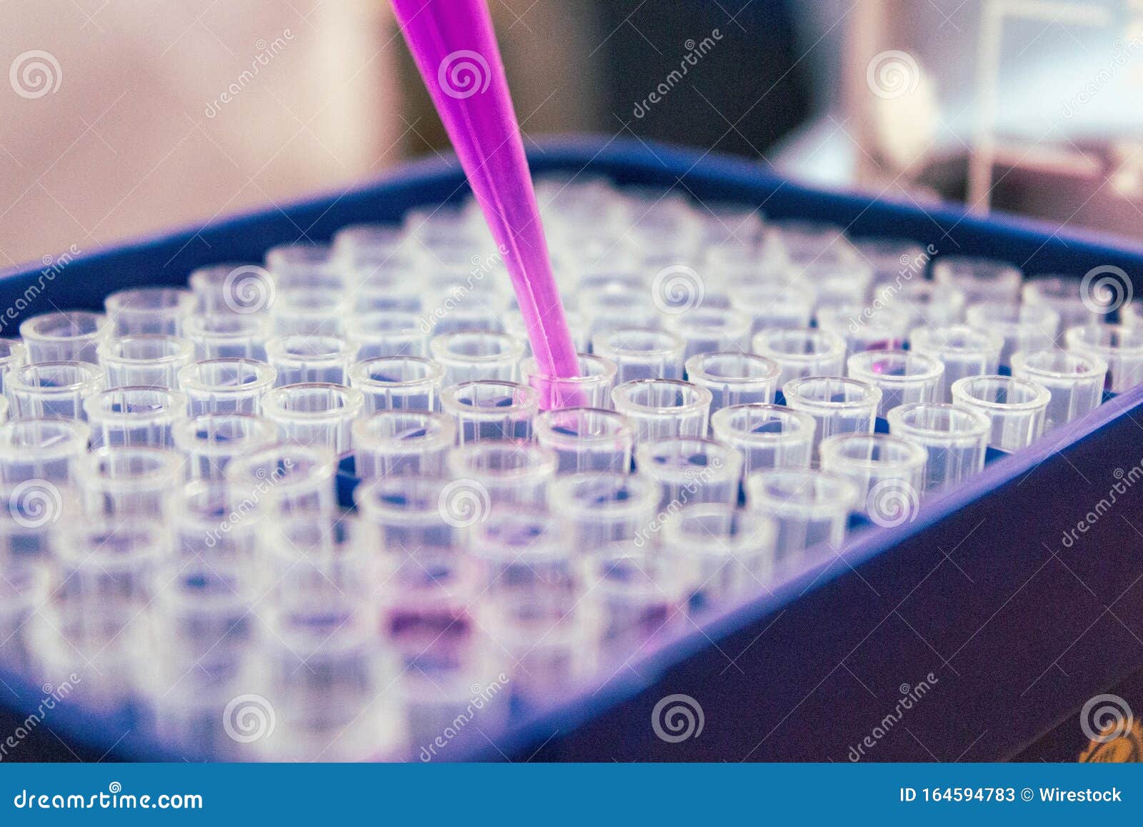 High Angle Shot of a Laboratory Assistant Adding Purple Liquid in Test ...