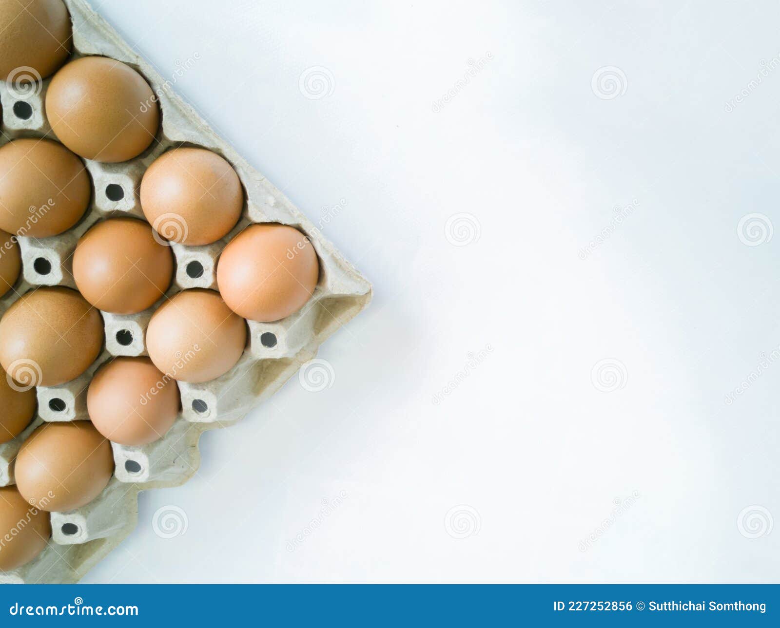High Angle Shot. Light Brown Eggs in Egg Panel Stock Photo - Image of ...
