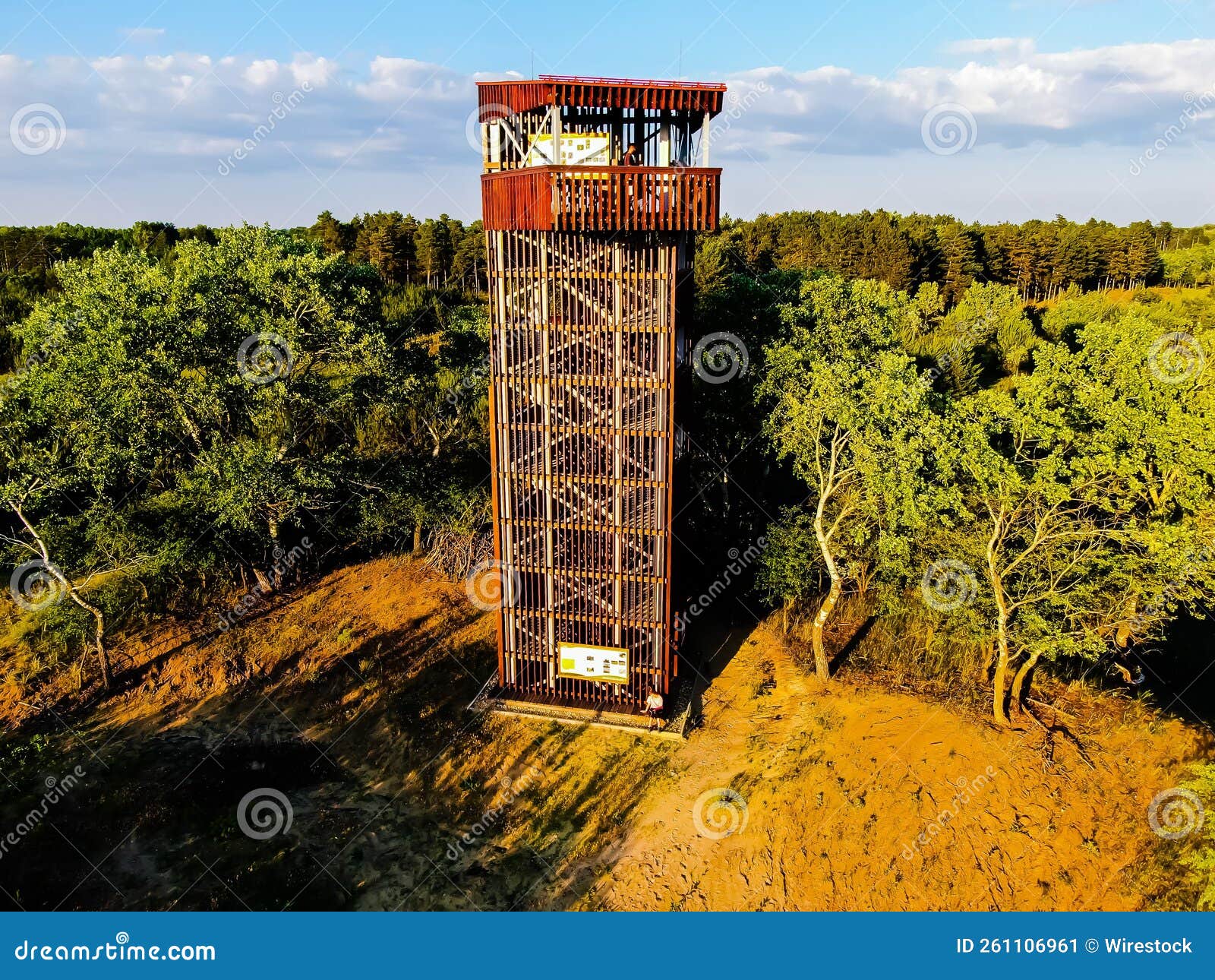 High-angle Shot of a Lookout Tower in the Middle of the Woods Stock ...