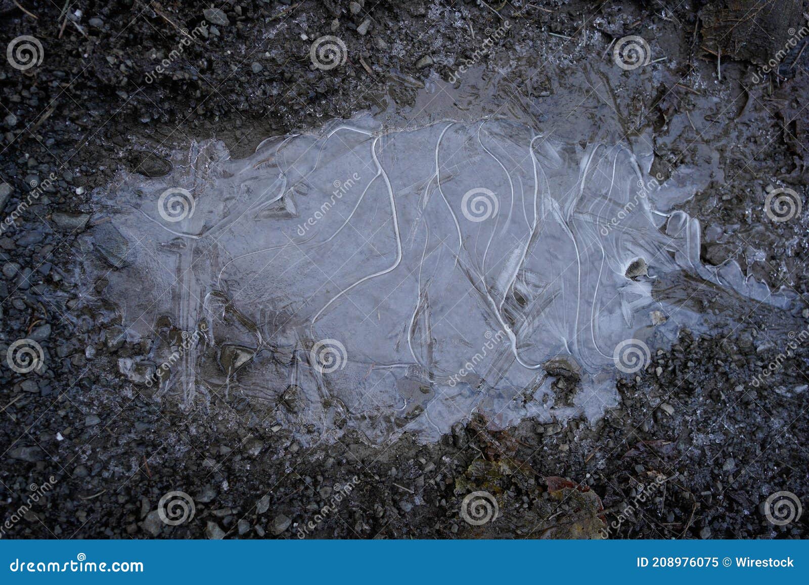 High Angle Shot of the Messy Patterns on the Muddy Groun Stock Image ...