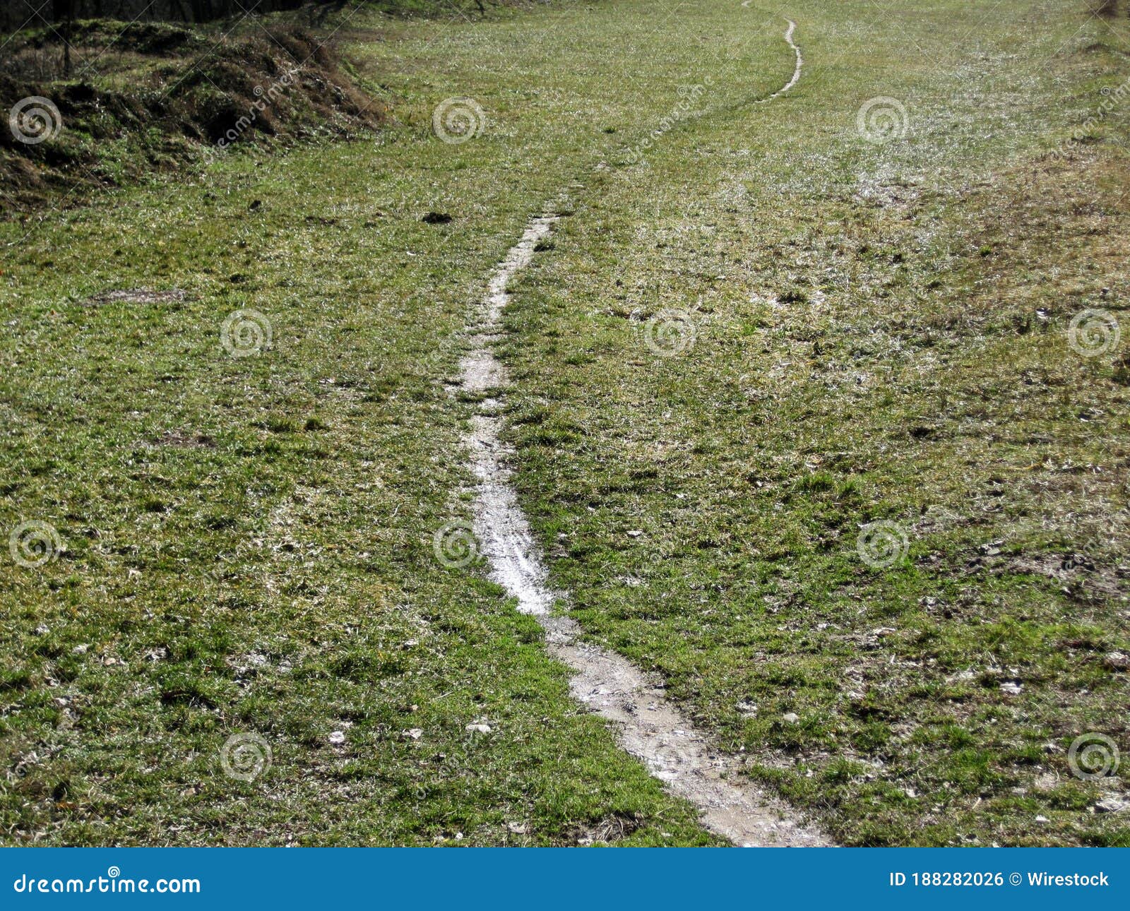 Narrow Dirt Path With Stones Between Trees And Vegetation In The Forest ...