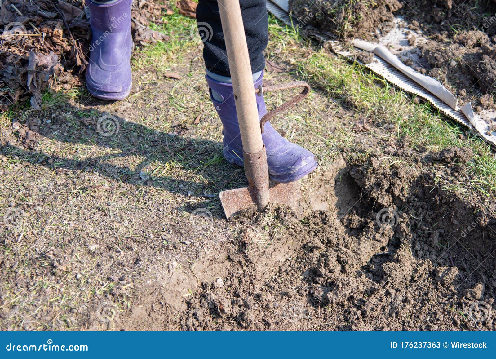 Digging Soil Using Shovel Stock Photos - Download 173 Royalty Free Photos