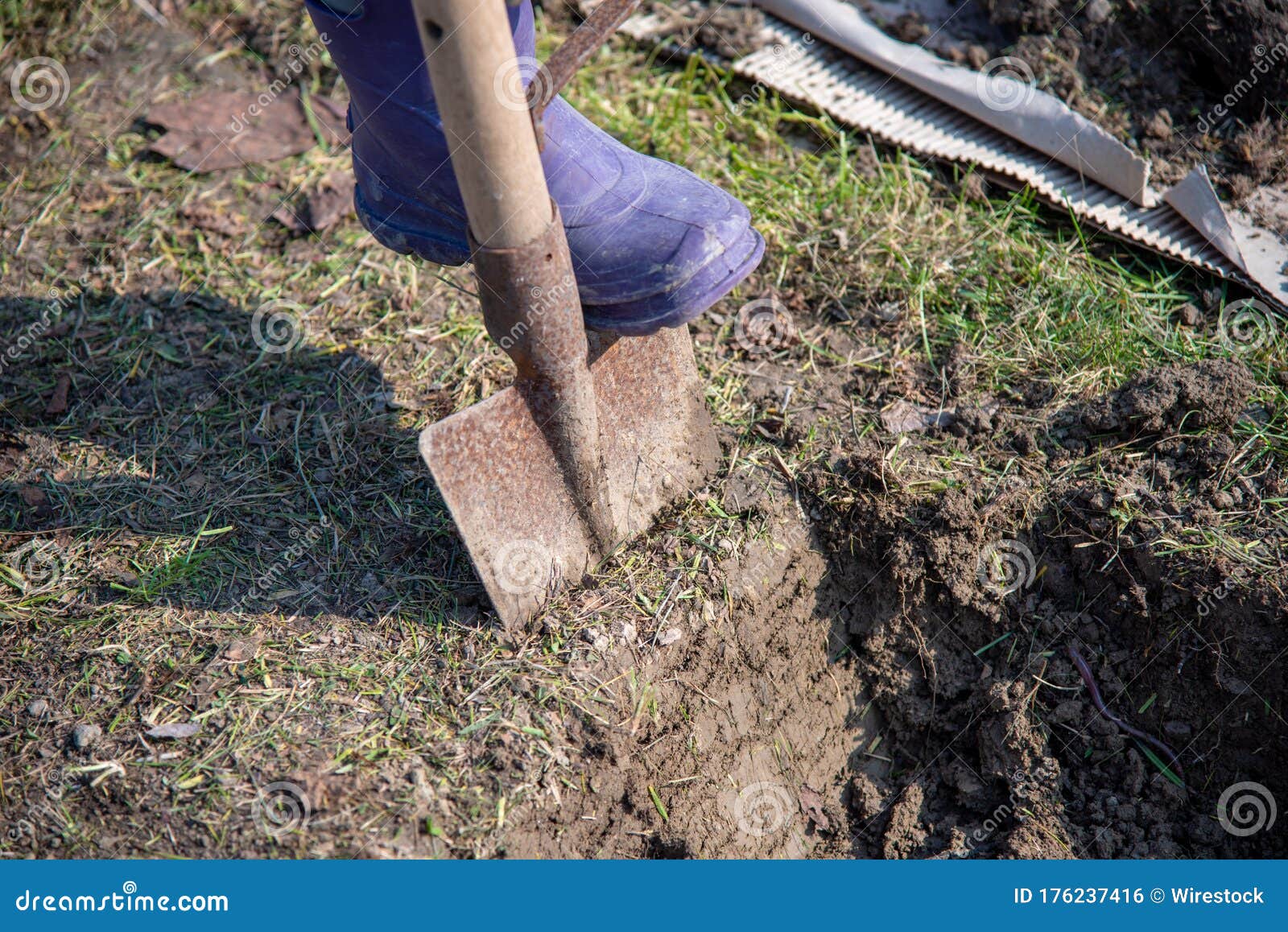 High Angle Shot of a Person Digging a Soil Using a Shovel during ...