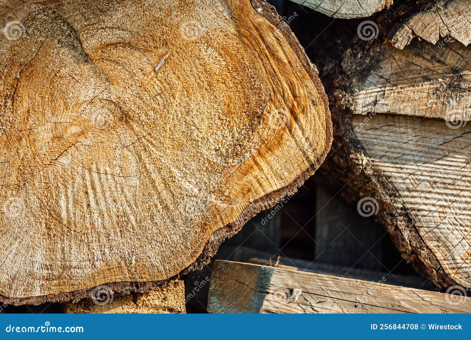 High Angle Shot of Piled Wood Log Stock Photo - Image of lumber, home ...
