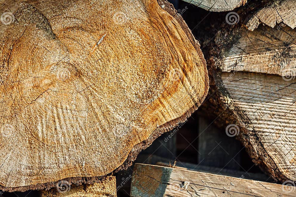 High Angle Shot of Piled Wood Log Stock Photo - Image of lumber, home ...