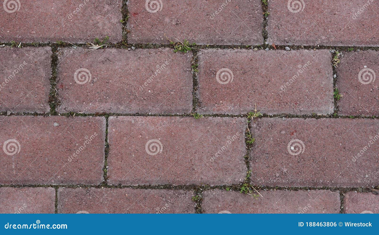 High Angle Shot of the Red-tiled Ground Stock Photo - Image of ...