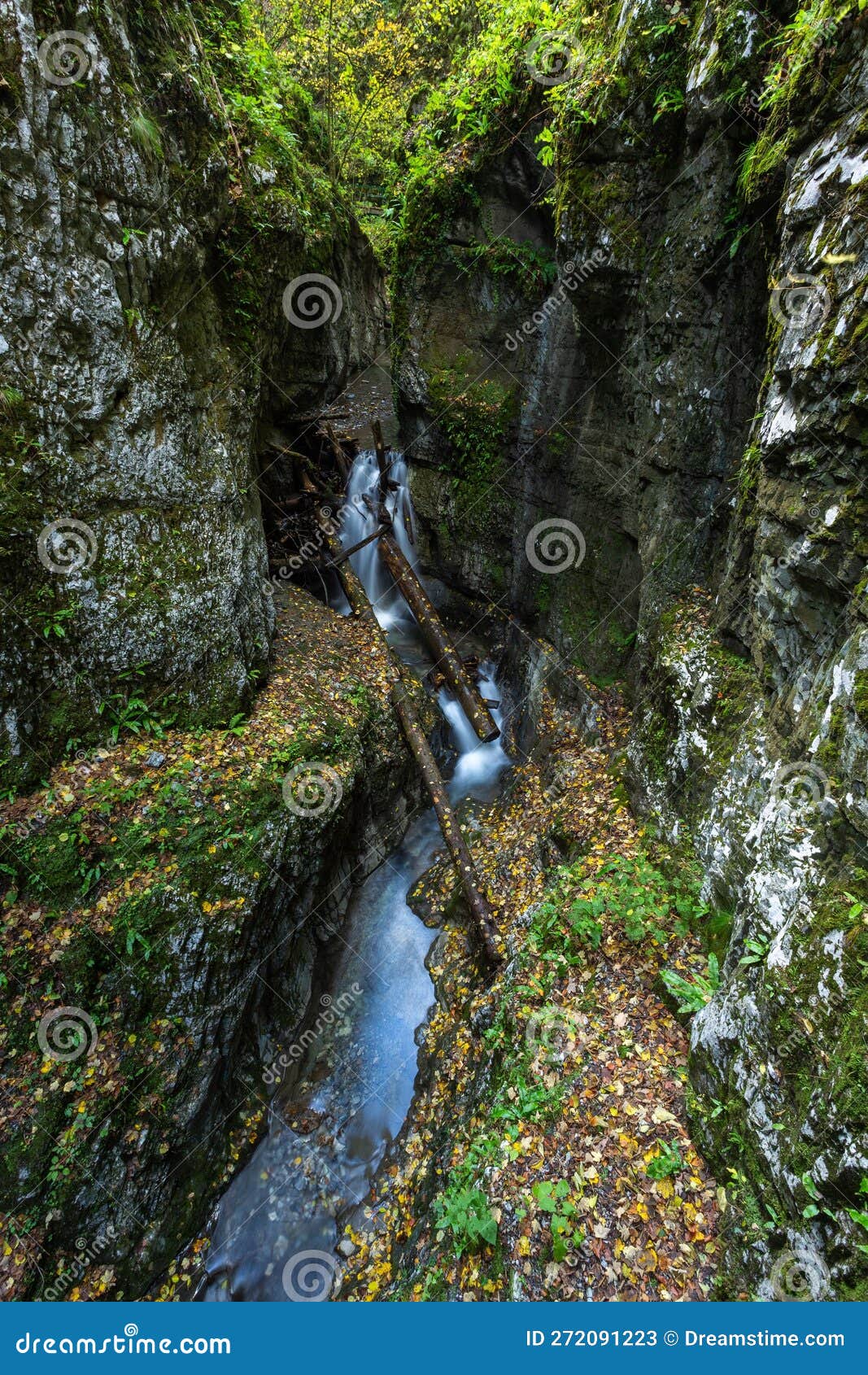 High-angle Shot of a River Flowing between Mossy Cliffs. Stock Image ...