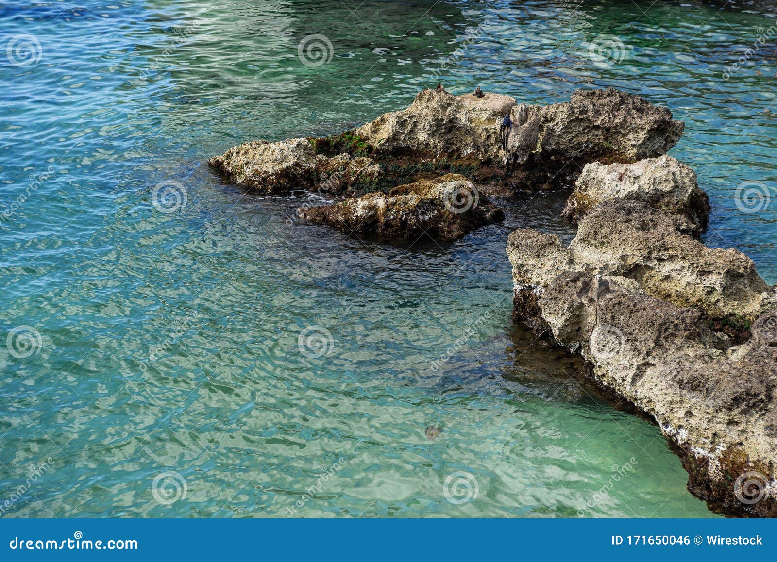 High Angle Shot of Rock Formations at the Ocean Shore Stock Photo ...