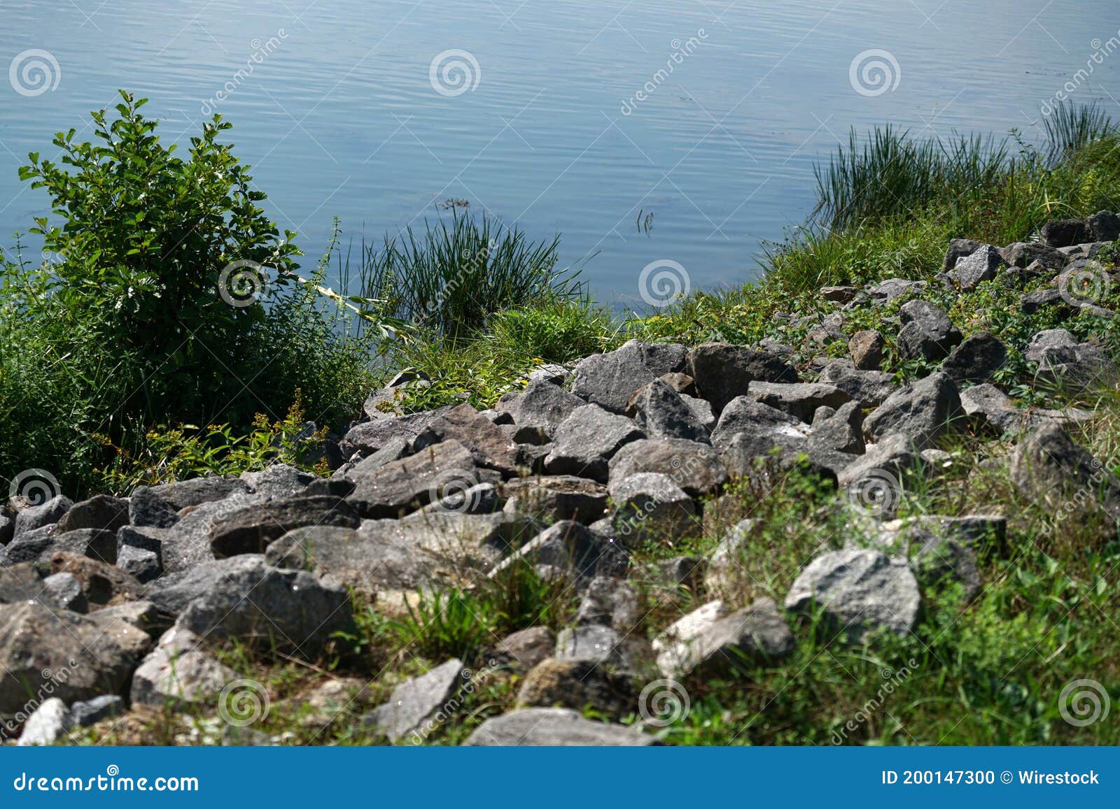 High Angle Shot of a Rocky Beach of a Lake Stock Photo - Image of ...