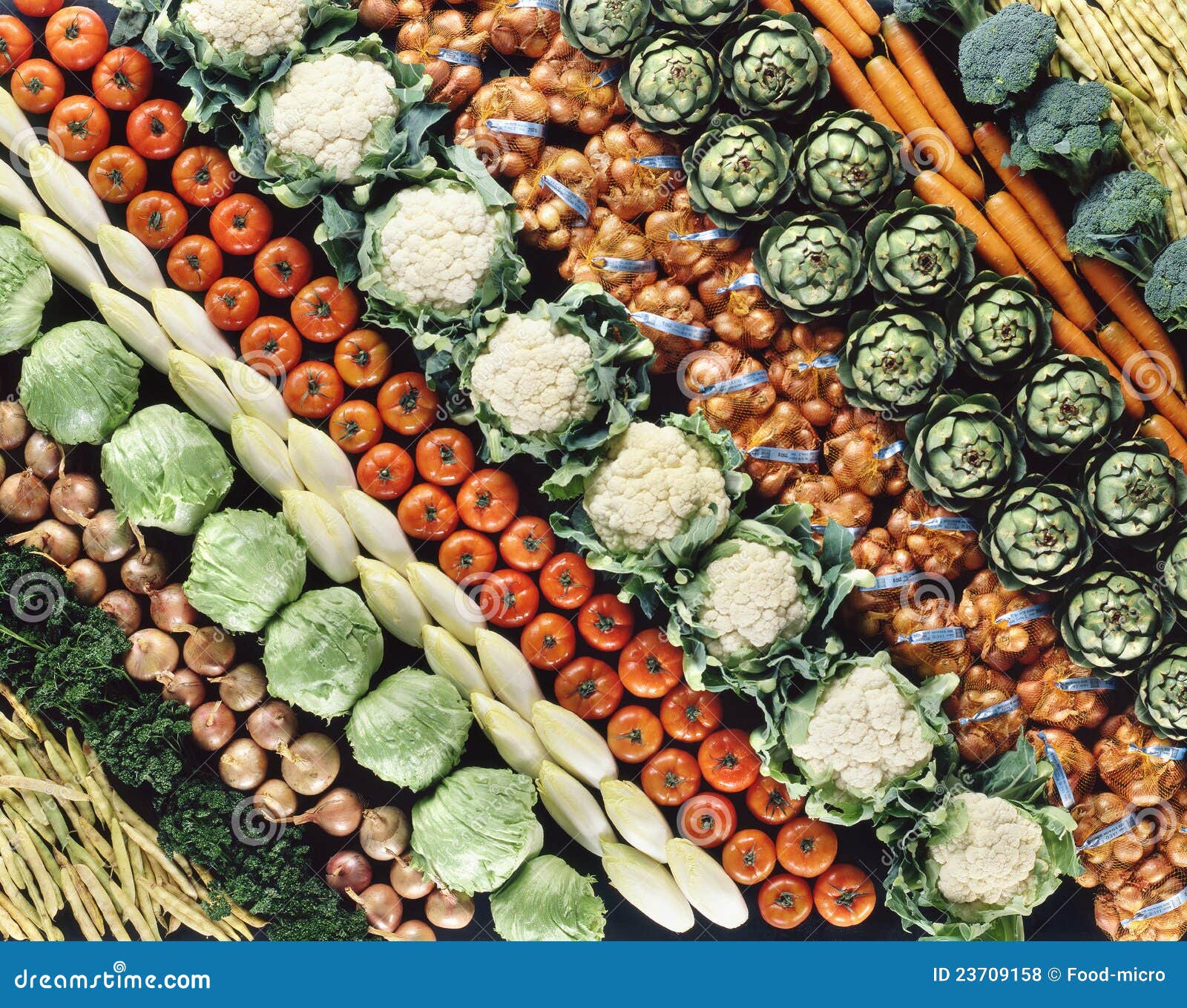 High-angle Shot of Rows of Vegetables Stock Photo - Image of vegetable ...