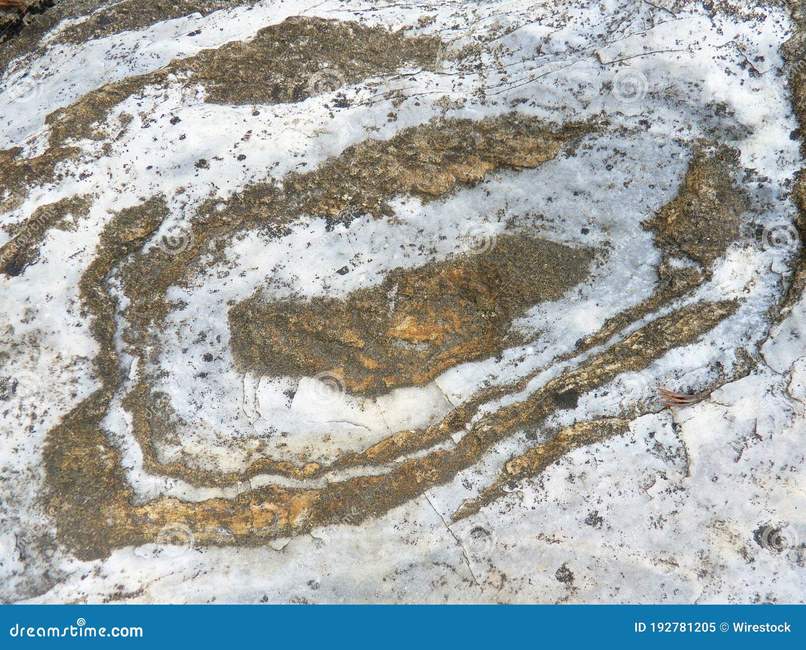 High Angle Shot of a Salty Rock Texture Stock Image - Image of dark ...