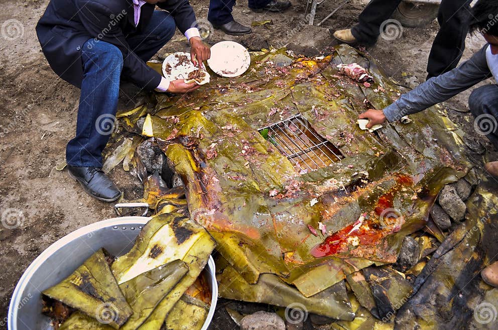 High Angle Shot of a Sheep Barbecue in a Hole Stock Image - Image of ...